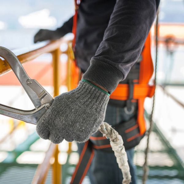 Formation au port du harnais - Alertis
